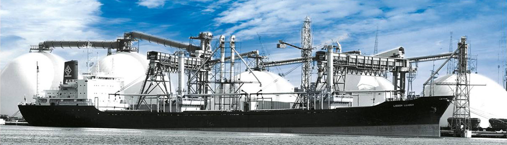 Alpha Osta Bulk Cargo Terminal